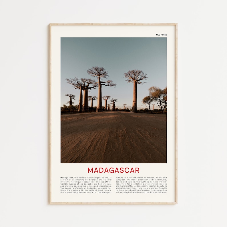 Madagascar Print Film Photo, Madagascar Wall Art, Madagascar Poster ...