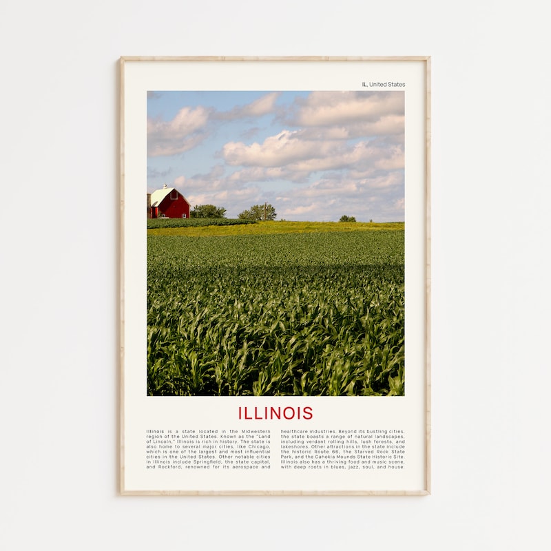 Illinois Poster - Etsy