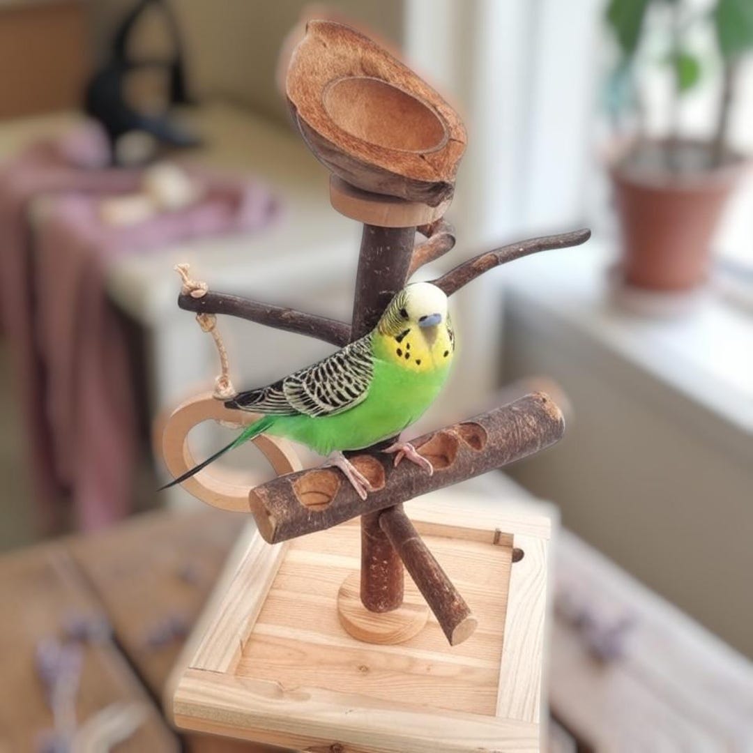 Climbing Tree "alpha" 50 Cm High Table Perch for Birds, Budgies ...
