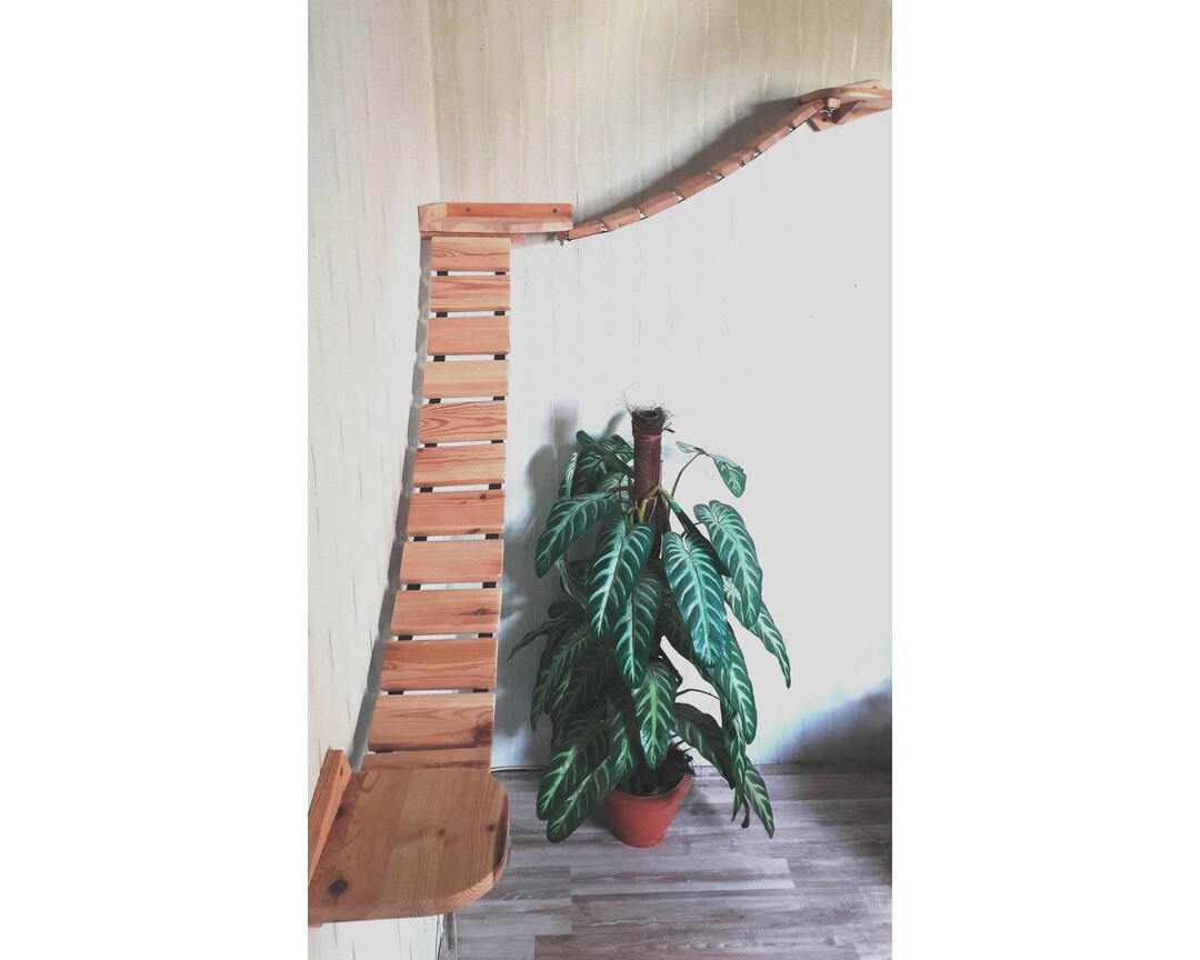 Corner Suspension Bridge With Seating Boards for Cats Wall Playground ...