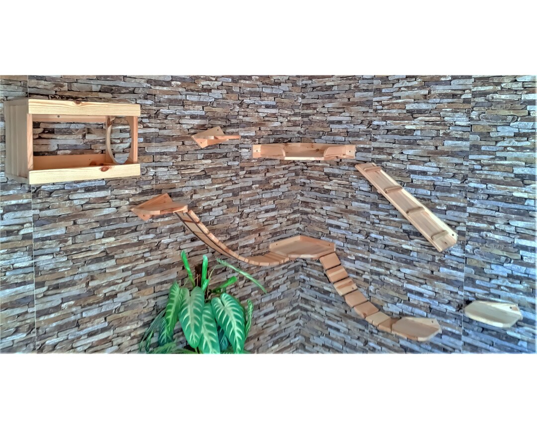 Cat Climbing Wall Made of Pine Wood, 6 Pieces Wall Playground, Play ...
