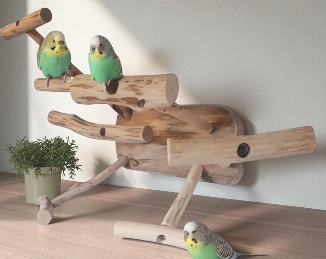 Climbing Tree "venus" Wall Mount for Budgies, Parakeets, Finches - Wall ...