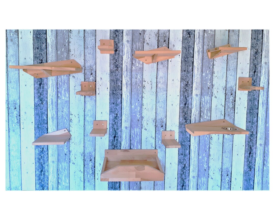 Cat Climbing Wall Made of Solid Beech Wood 11 Pieces - Wall Playground ...