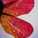 Iridescent Red Fairy Wings Halloween Costume - Etsy