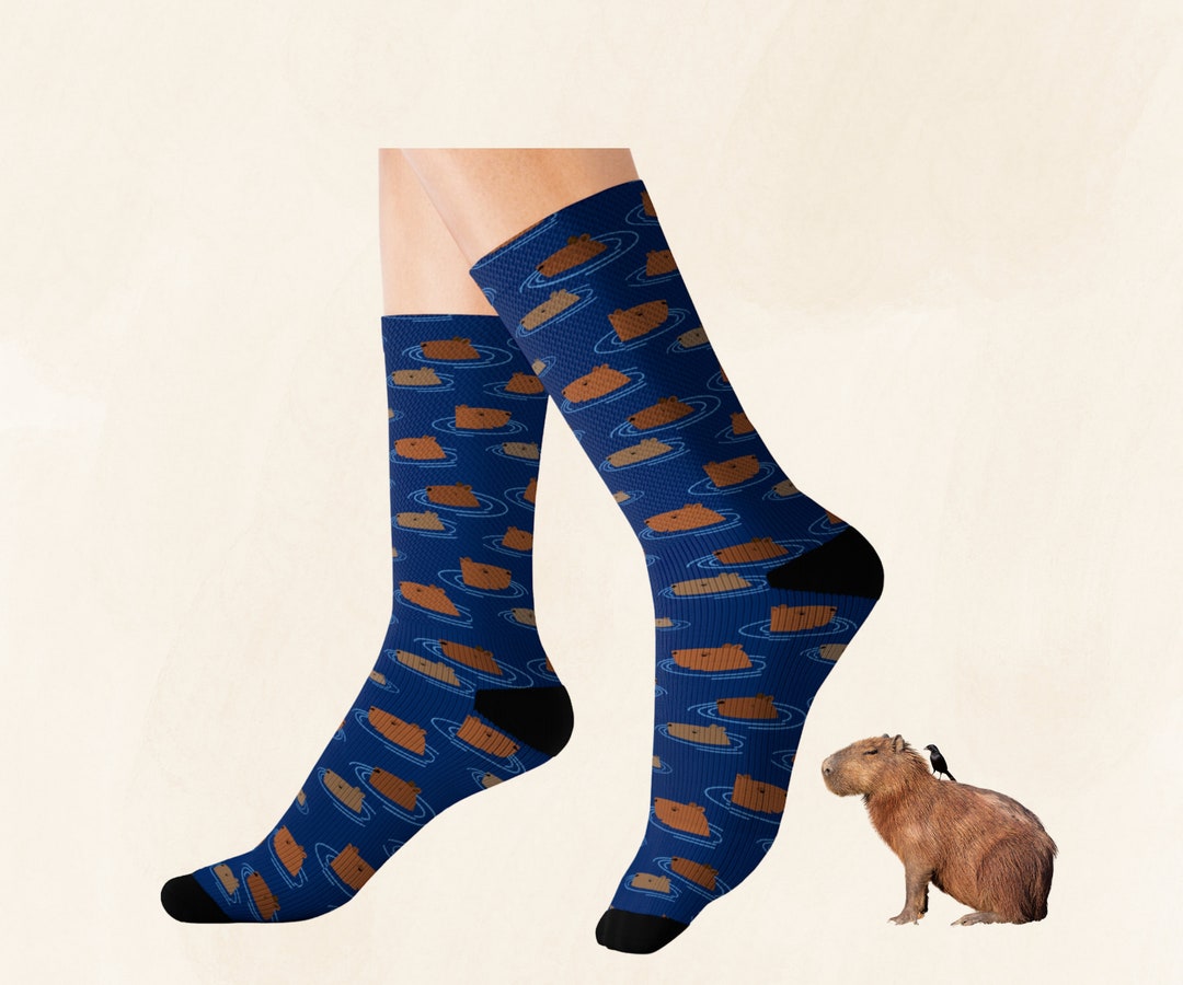 Capybara Swimming Socks, Cute Capybara, Kawaii Animal Drawings, Gift ...