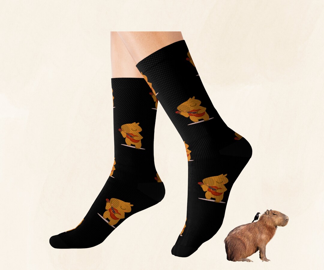 Capybara With Guitar Socks, Cute Capybara, Kawaii Animal Drawings, Gift ...
