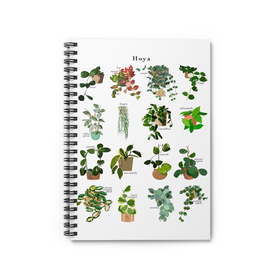 Cahier à spirale Hoya Chart avec lignes lignées pour les amateurs de ...