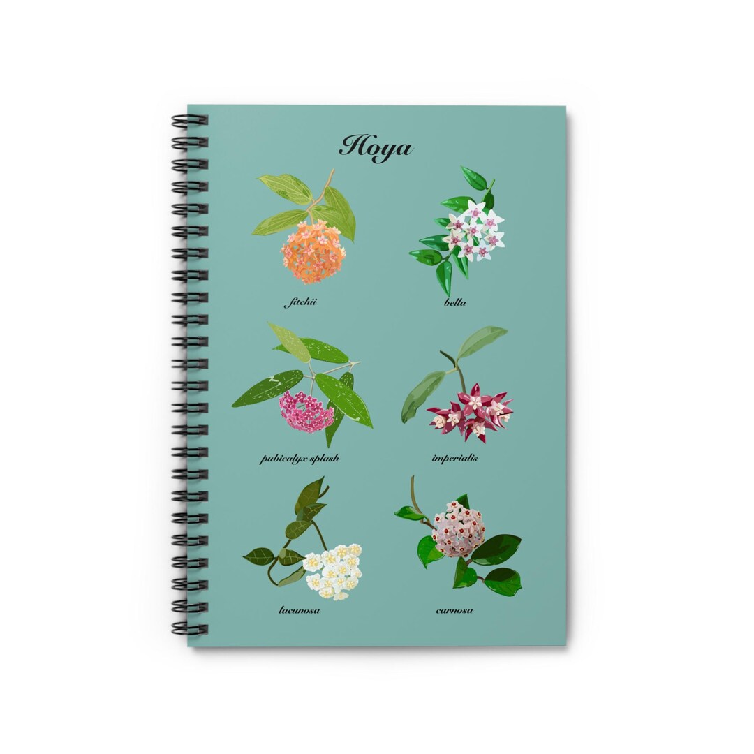 Hoyas in Bloom Chart Plant Lover Notebook Journal - Etsy