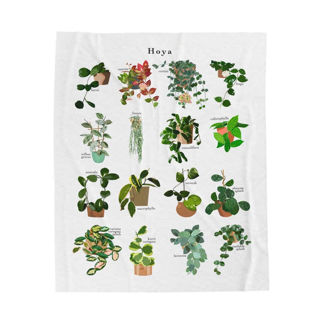 Hoya Chart Plant Lover Cozy Plush Blanket - Etsy
