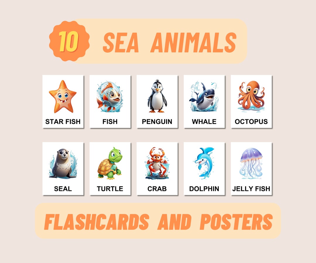 10 Printable Sea Animals Flashcards for Kids Animals Learning - Etsy France