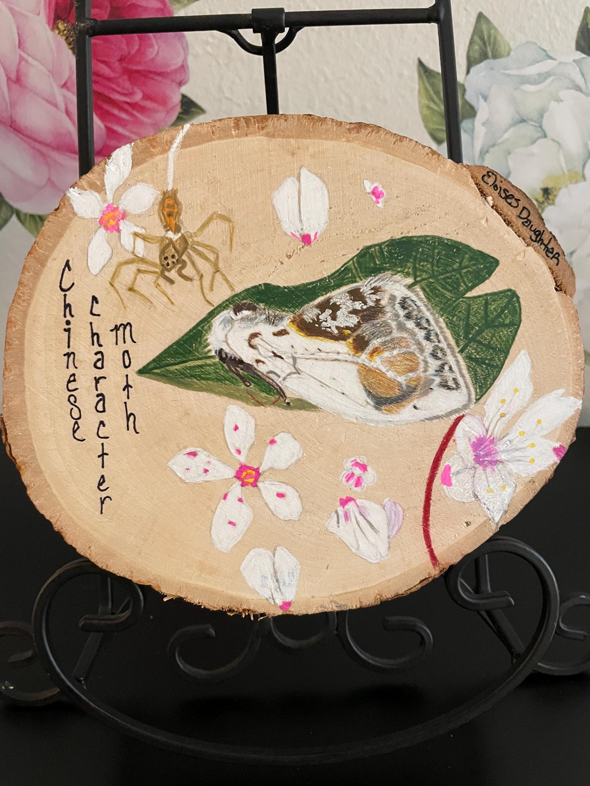 Chinese Character Moth Original Drawing on Bass Wood Slab • 8 Inches ...
