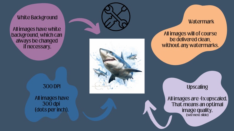 20 Watercolor Sharks Clipart Bundle, 20 High Quality PNG, Digital ...