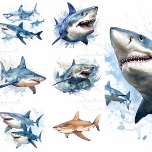 20 Watercolor Sharks Clipart Bundle, 20 High Quality PNG, Digital ...