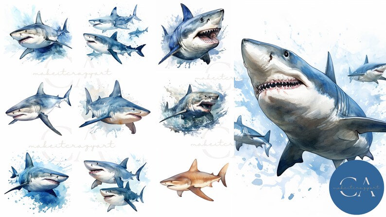 20 Watercolor Sharks Clipart Bundle, 20 High Quality PNG, Digital ...