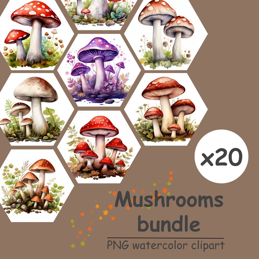20 Watercolor Mushrooms Clipart Bundle, 20 High Quality PNG, Digital ...