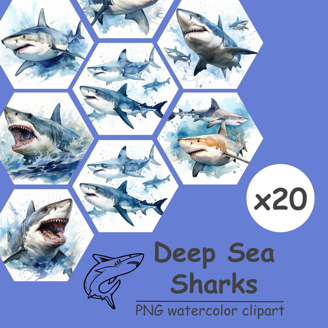 20 Watercolor Sharks Clipart Bundle, 20 High Quality PNG, Digital ...