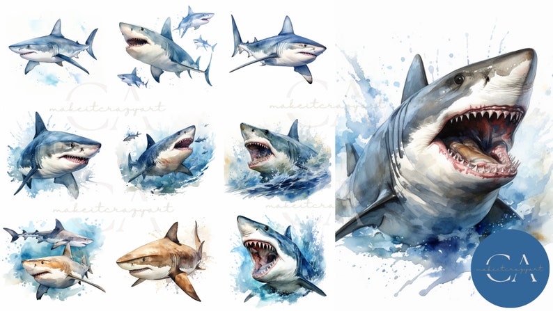 20 Watercolor Sharks Clipart Bundle, 20 High Quality PNG, Digital ...