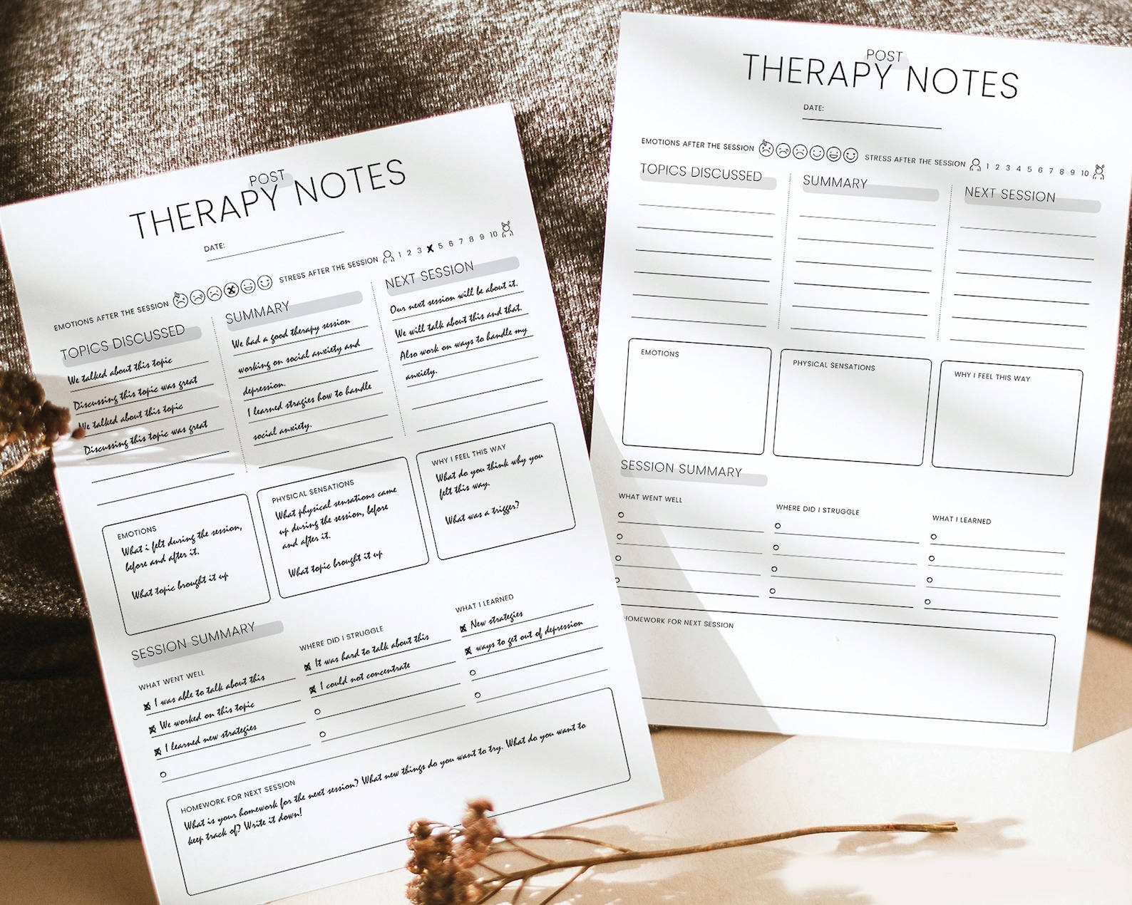 Pre and Post Therapy Notes, Therapy Overview, Pre Therapy and Post ...