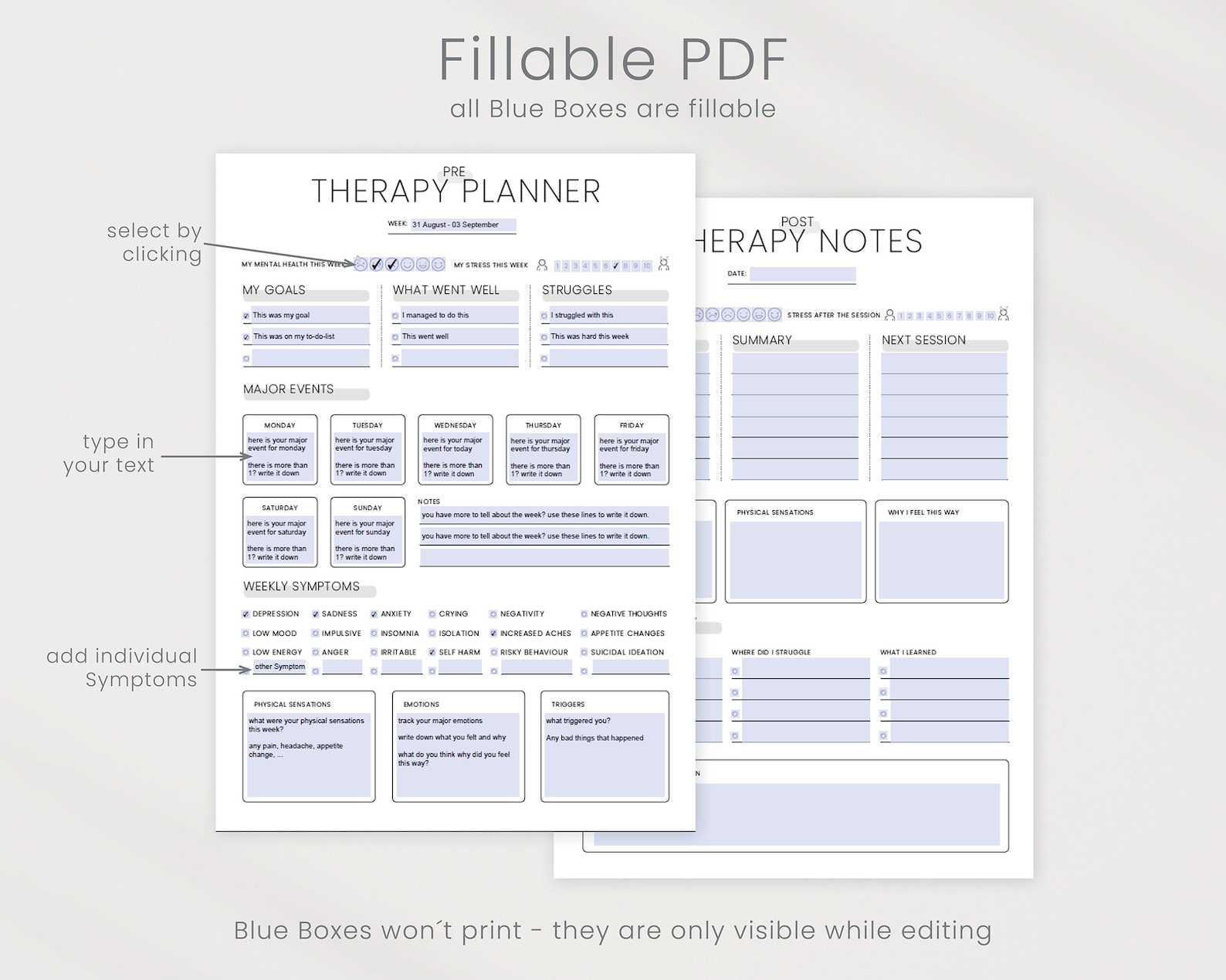 Pre and Post Therapy Notes, Therapy Overview, Pre Therapy and Post ...