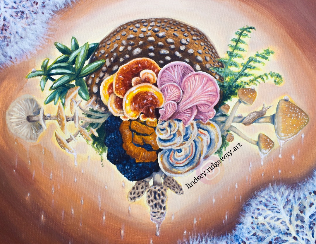 Fungi Art Print - Etsy