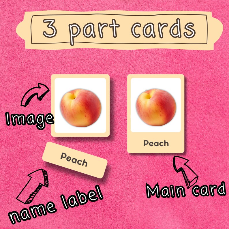 CLOTHES and ACCESSORIES realistic 45 Flashcards Clothing Flash Cards ...