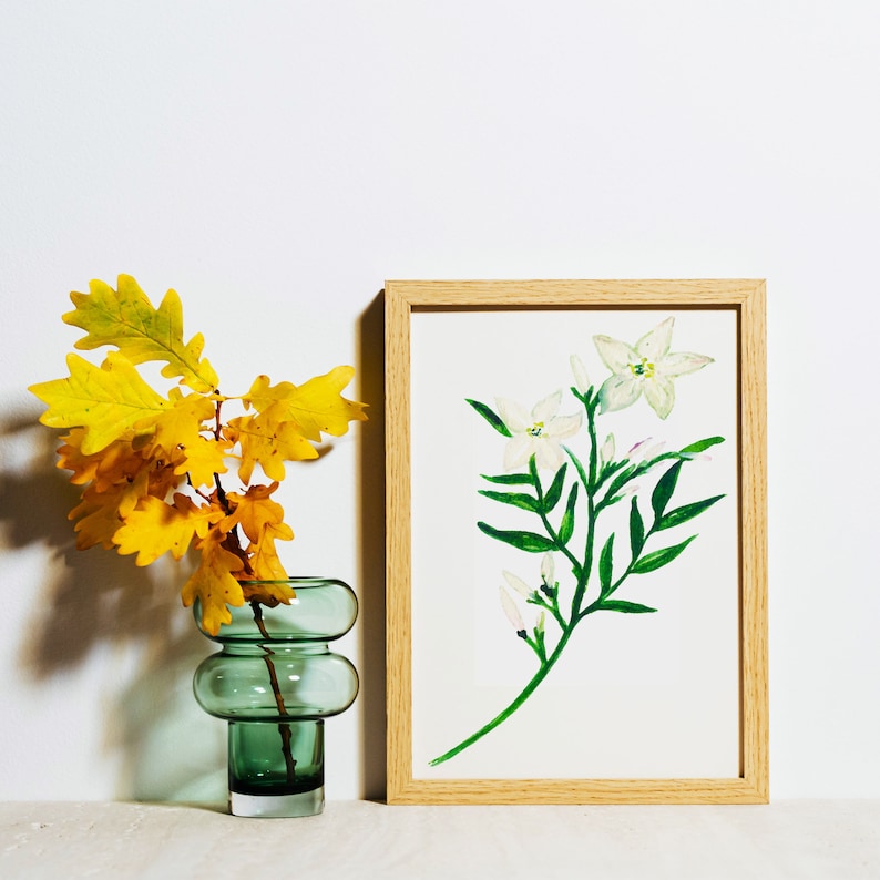 Botanical Print Set of 4, Floral Wall Art (digital Download) - Etsy