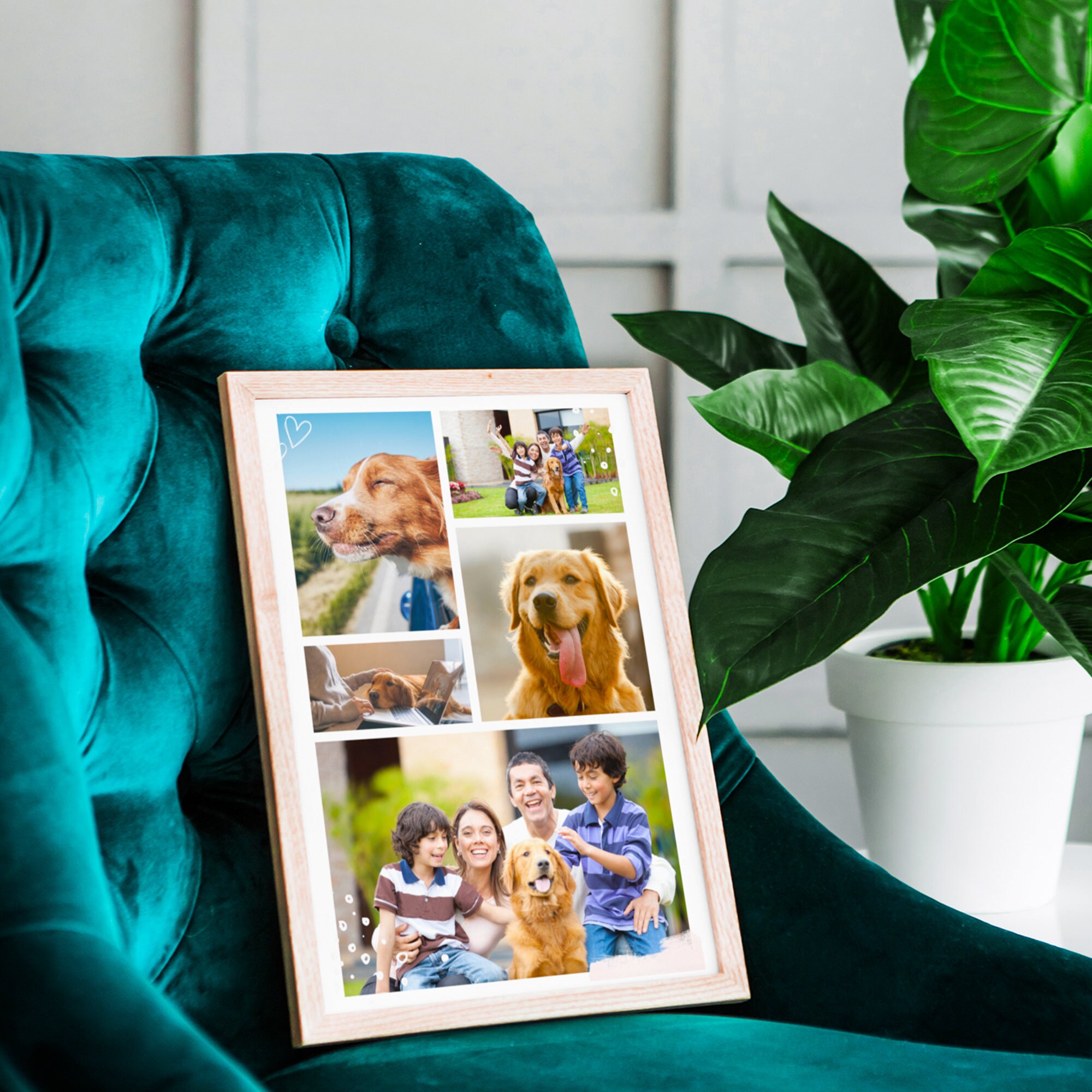 Editable Pet Photo Collage, Dog Photo Gift, Animal Photo Frame, Pet ...
