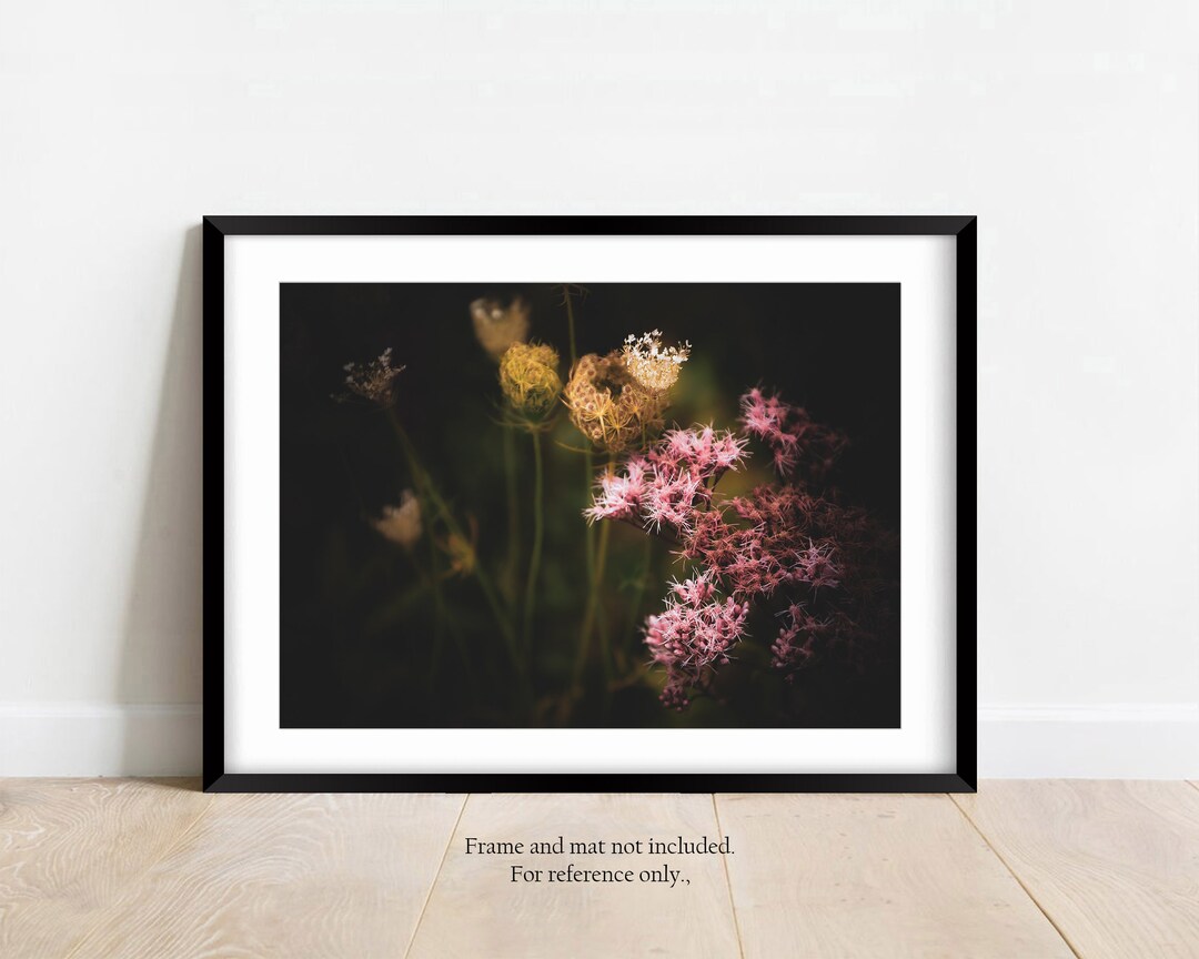 Wildflowers Phtography Fine Art Print Unique Flower Wall Art - Etsy