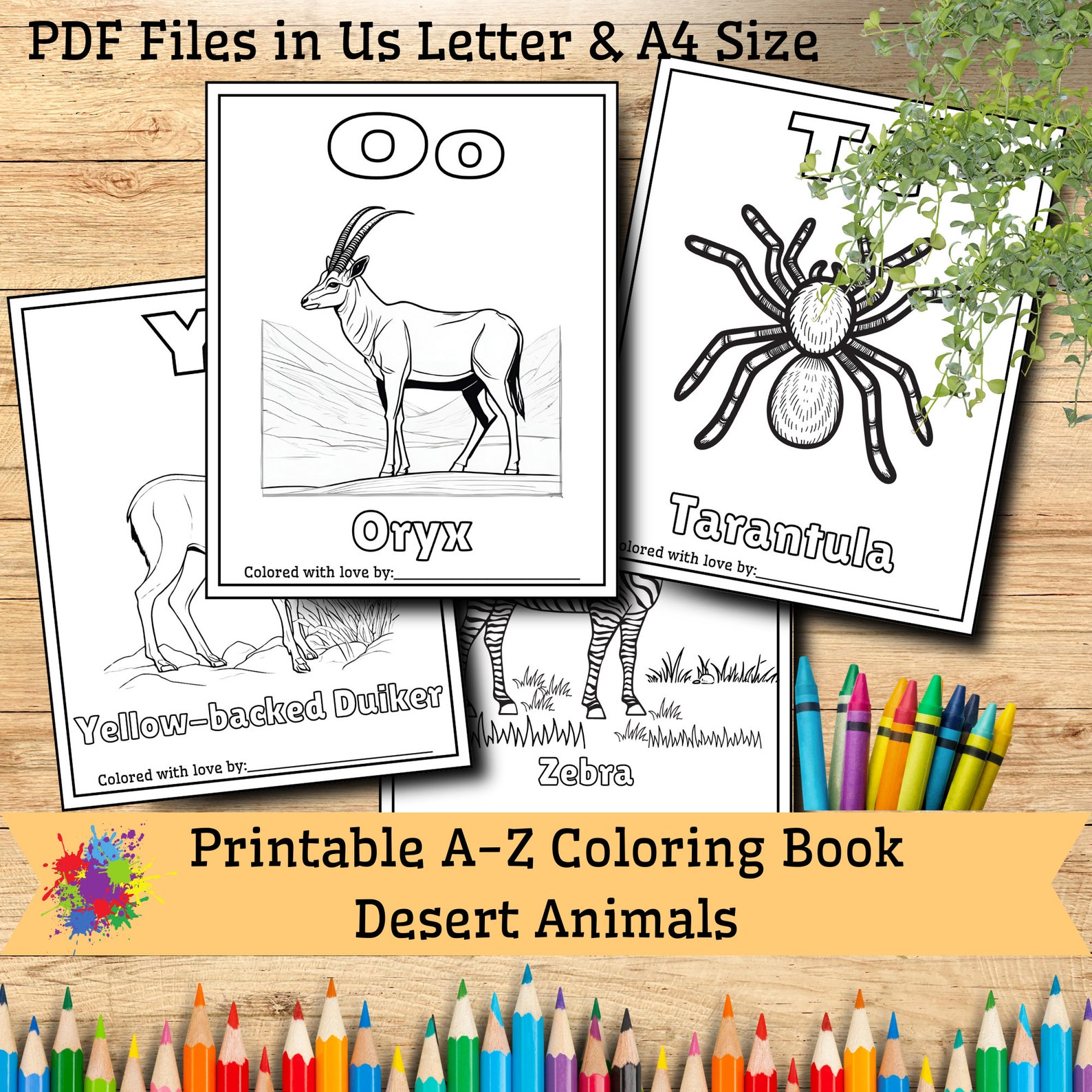 Baby Shower Coloring Book Baby's First ABC Book Gift Desert Animals ...