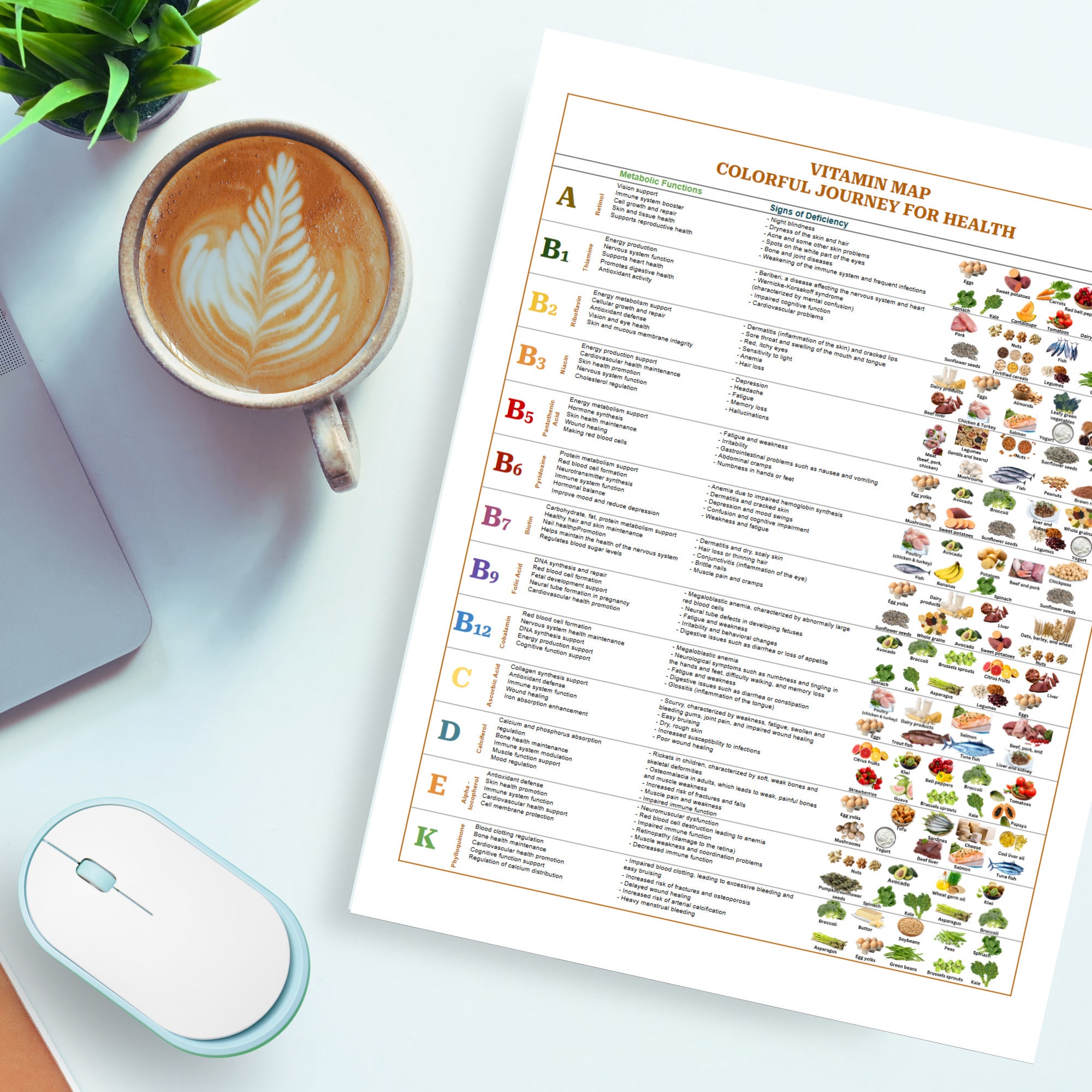 13 Vitamins List With Healthy Fooods Vitamin Printable Poster PDF Files ...