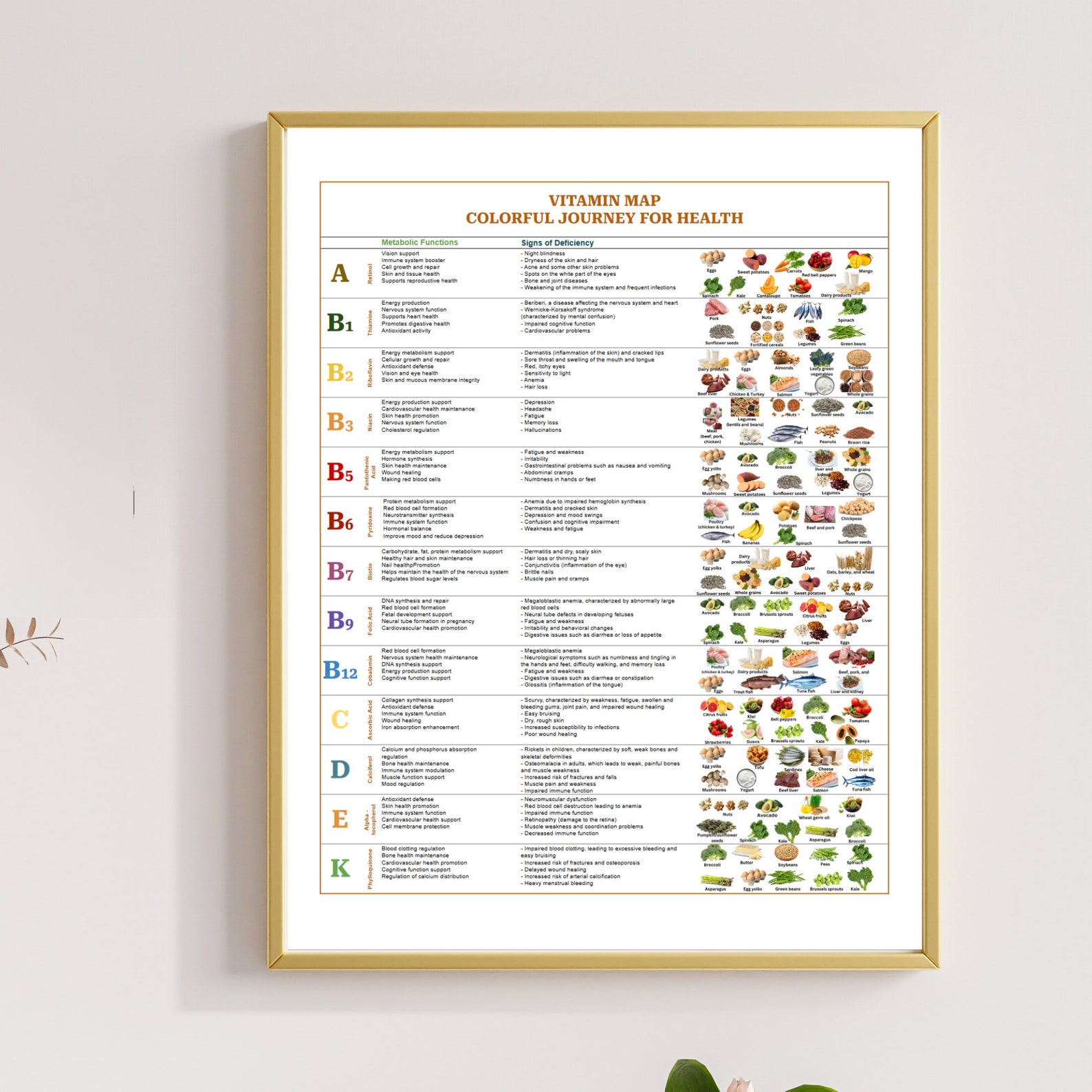 13 Vitamins List With Healthy Fooods Vitamin Printable Poster PDF Files ...