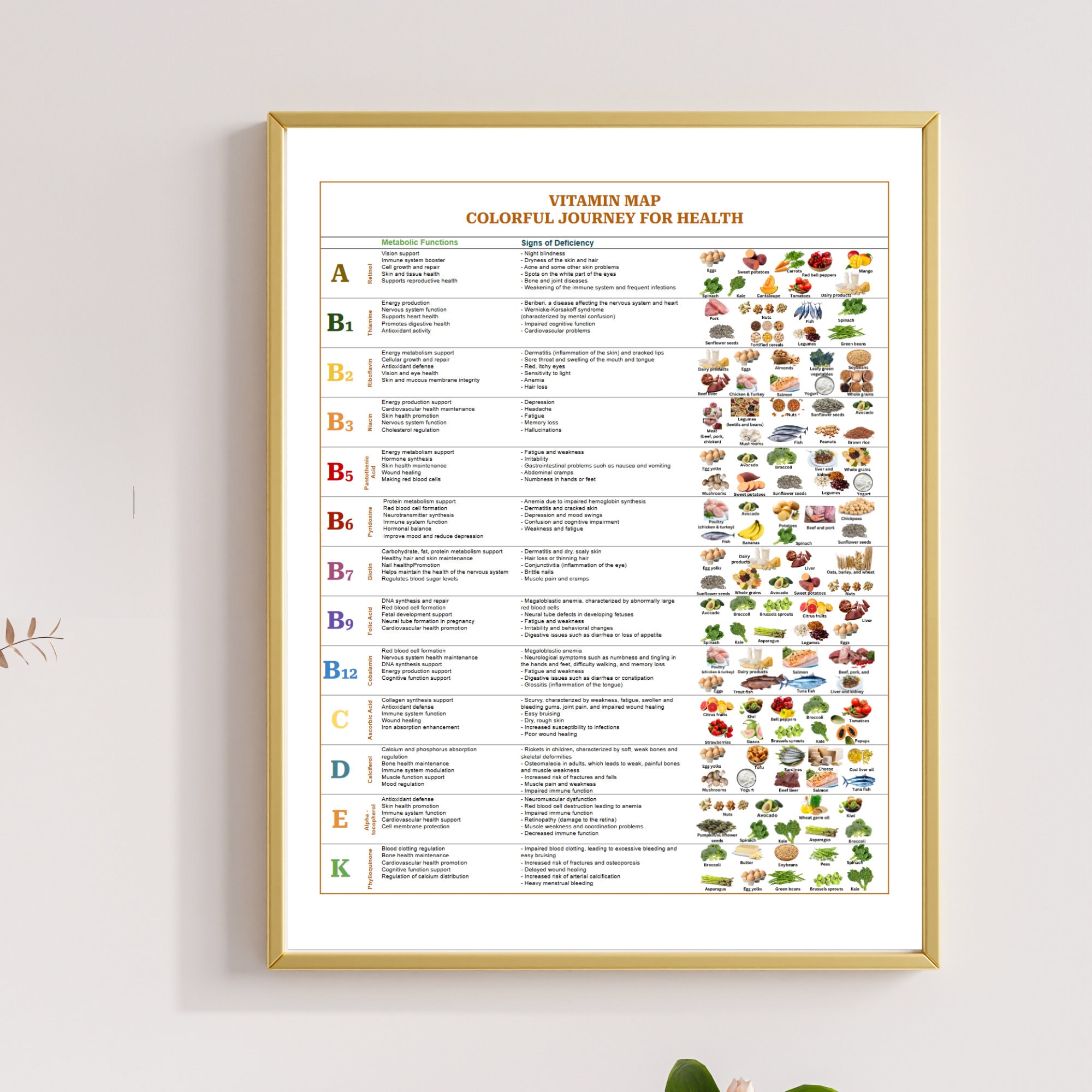 13 Vitamins List With Healthy Fooods Vitamin Printable Poster PDF Files ...