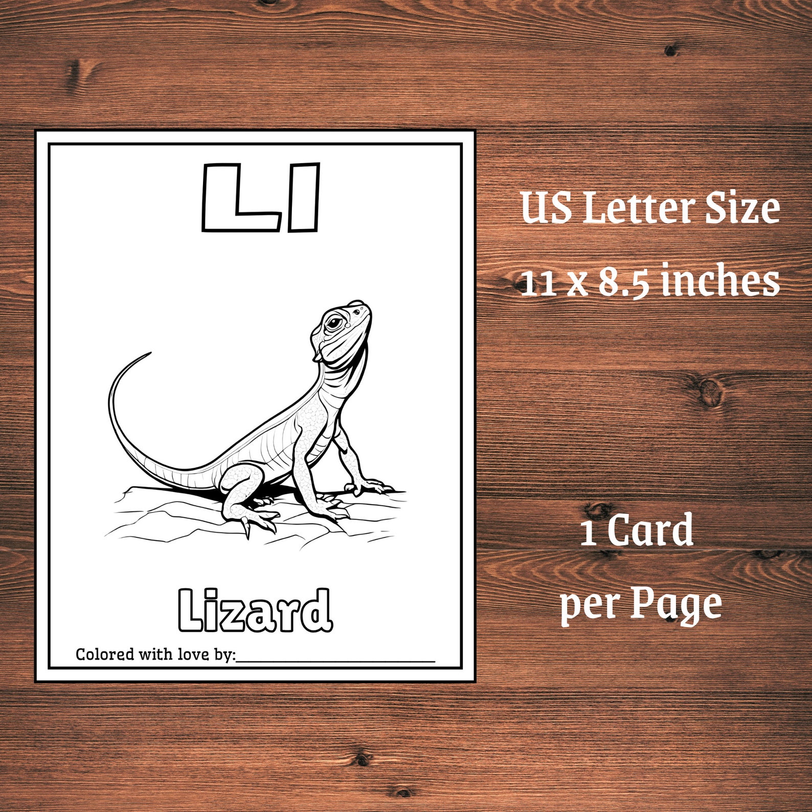 Baby Shower Coloring Book Baby's First ABC Book Gift Desert Animals ...