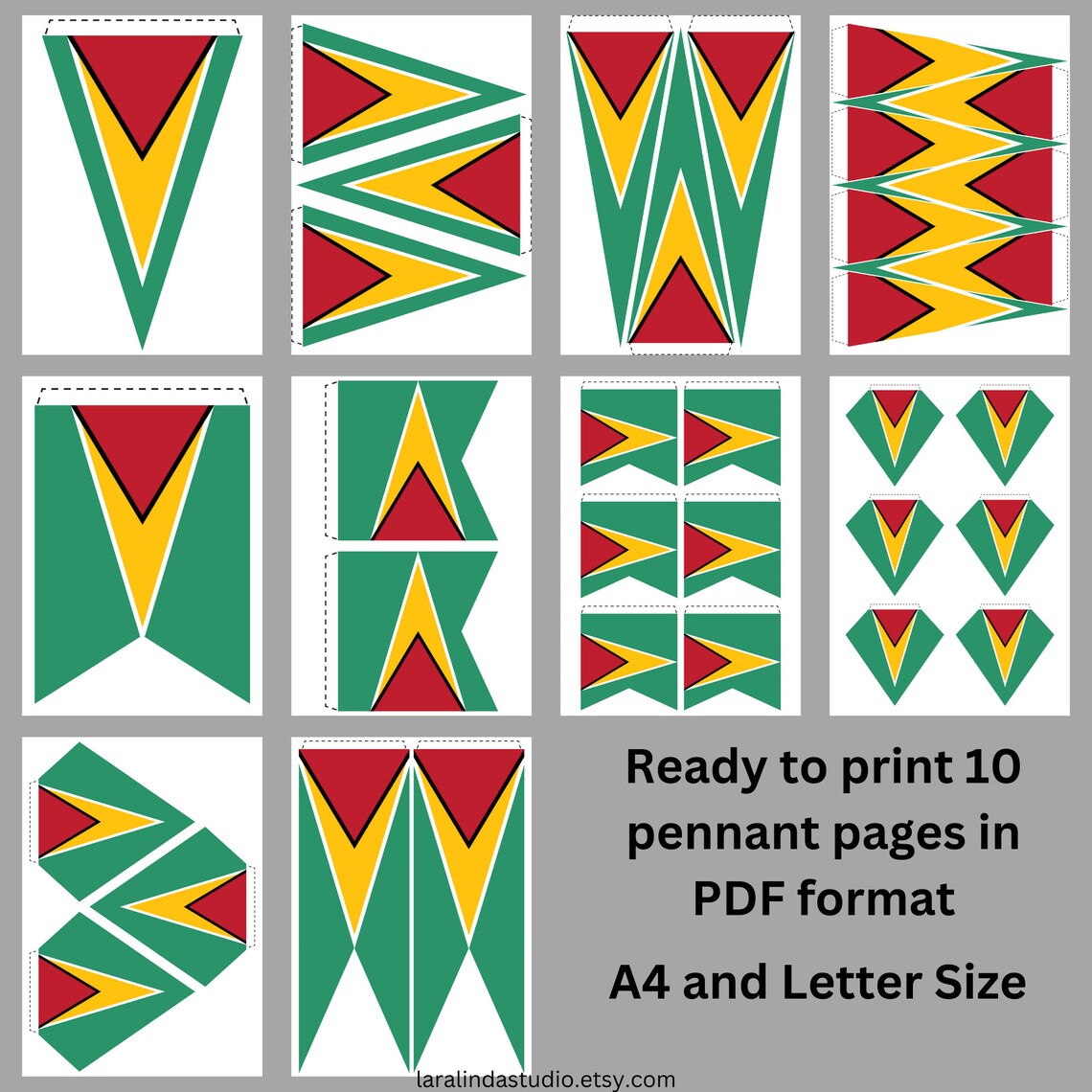 Guyana Flag Bundle 77 SVG & PNG Printable Files for Ready to Use ...