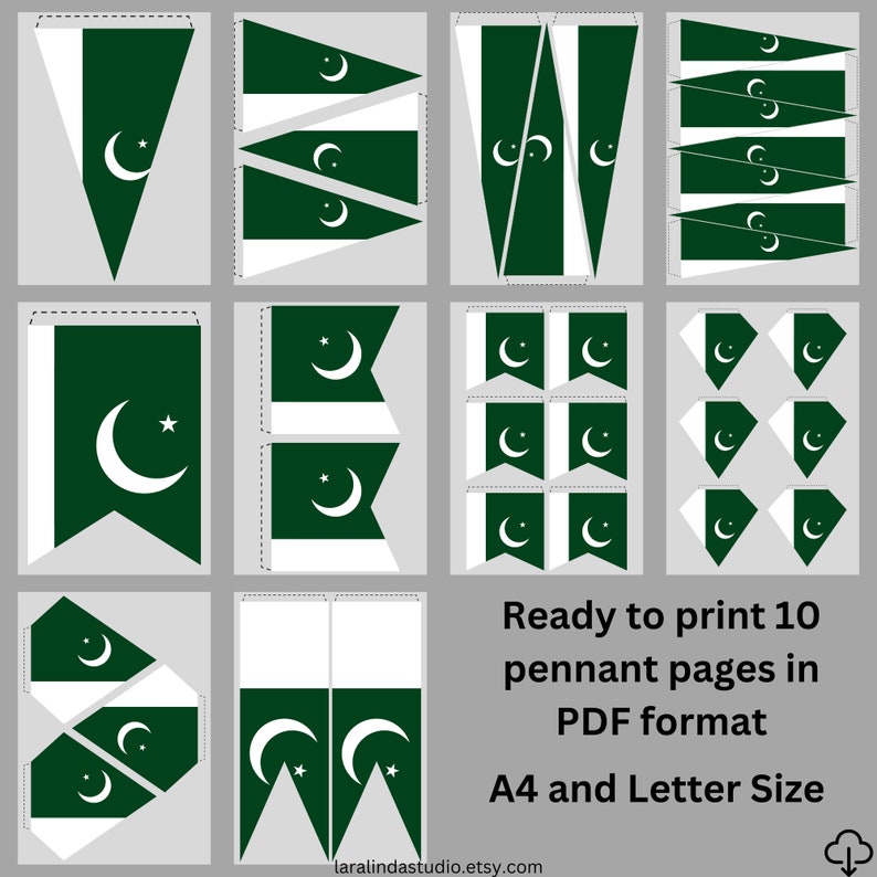Pakistan Flag Bundle 77 SVG & 77 PNG Printable Files for Ready to Use ...