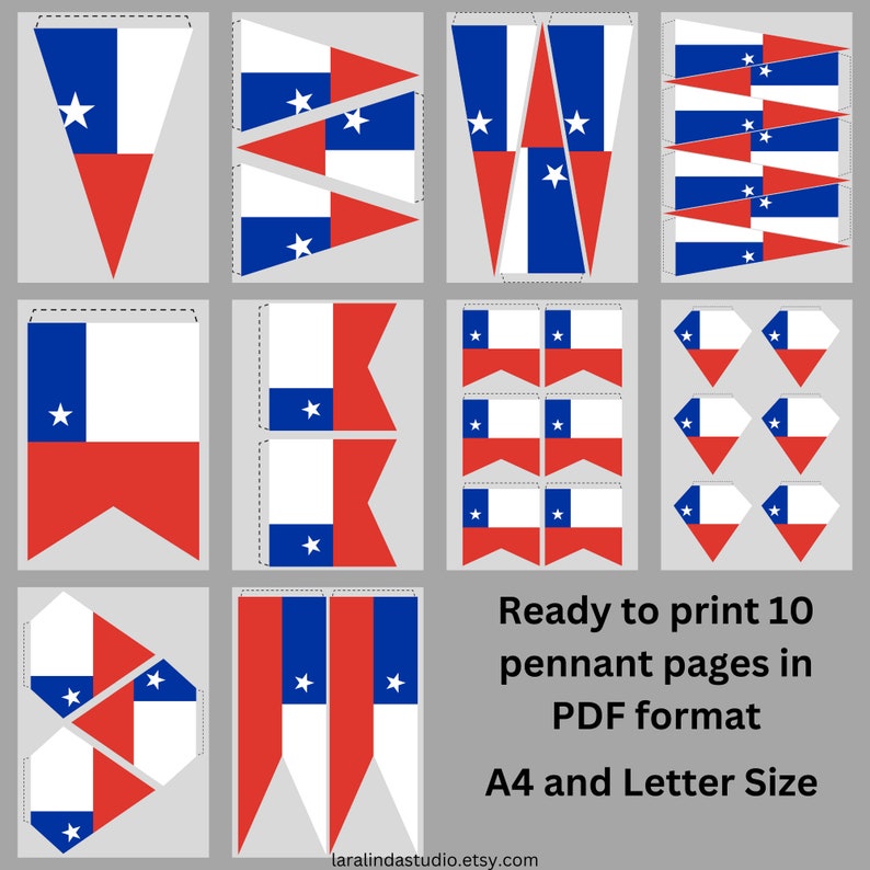 Chile Flag Bundle 77 SVG & PNG Printable Files for Ready to Use Designs ...