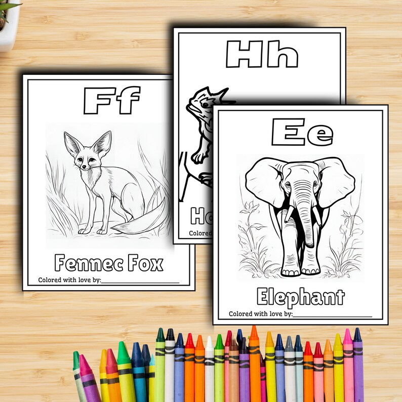 Baby Shower Coloring Book Baby's First ABC Book Gift Desert Animals ...