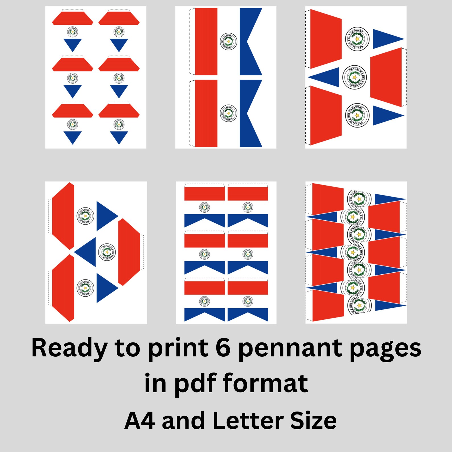Paraguay Flag Bundle 53 SVG PNG Files for Ready to Print South America ...