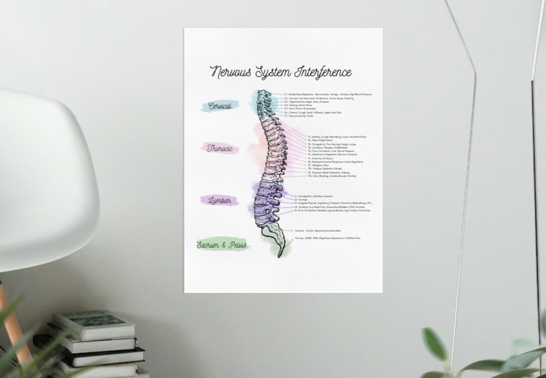 ANS Interference Chart - Etsy