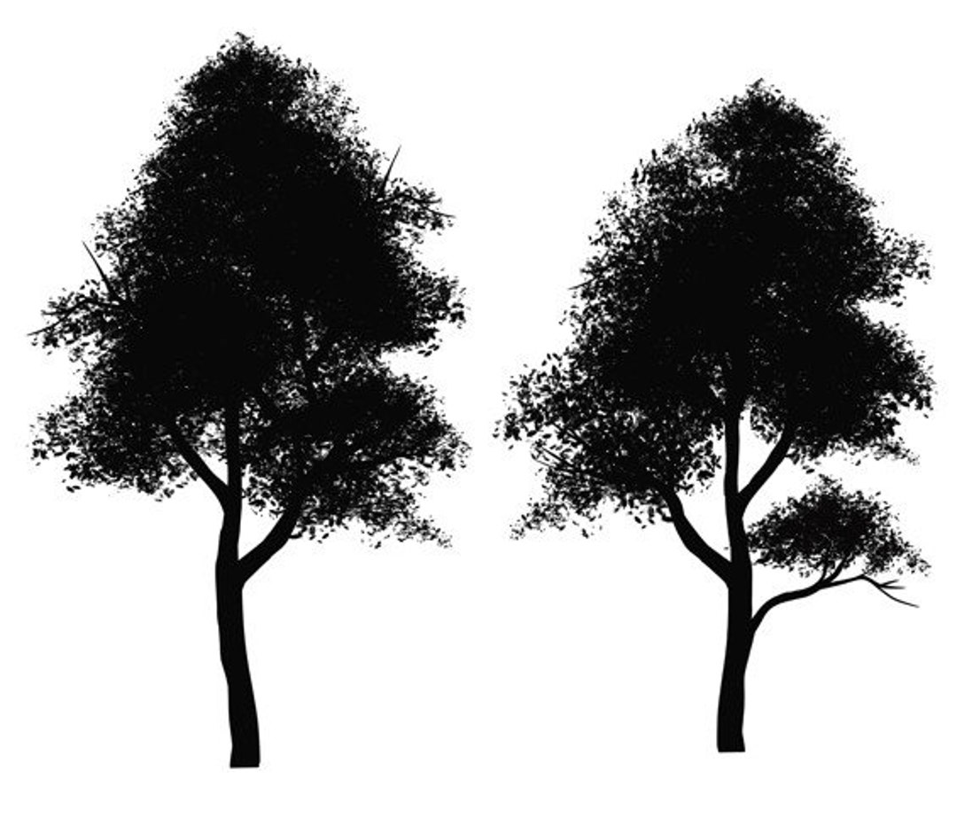 Tree Silhouettes - Etsy