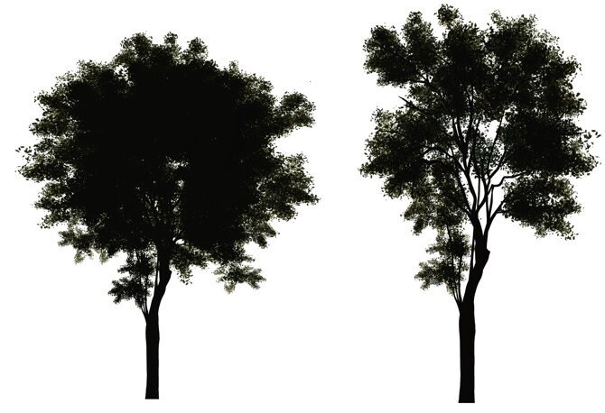 Tree Silhouettes - Etsy
