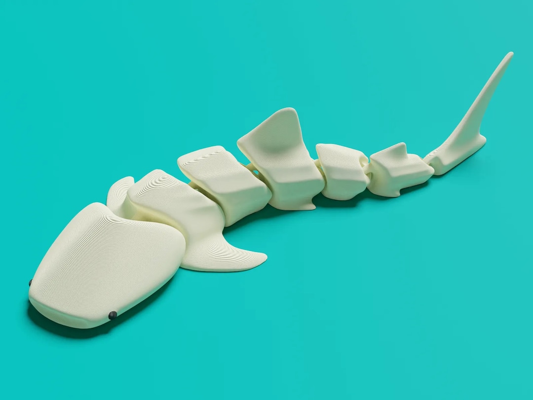 Articulated Whale Shark 3D Printed Flexi Toy - Etsy