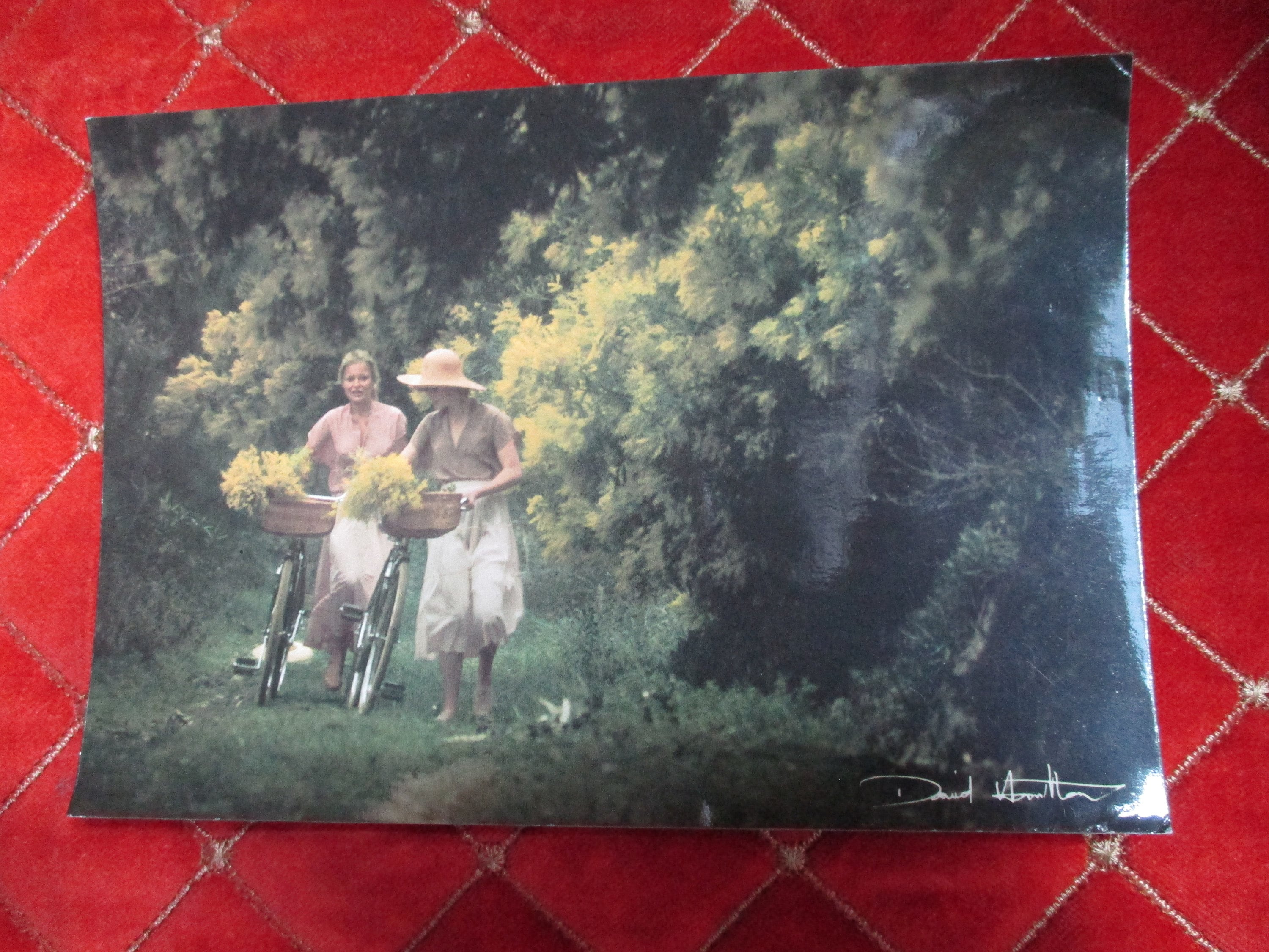 David Hamilton Offset Fine Art Glamour Photography Vintage 1970s ...