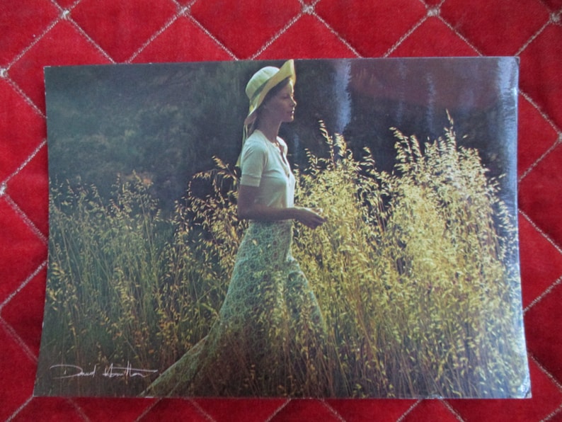 David Hamilton Offset Fine Art Glamour Photography Vintage 1970s ...