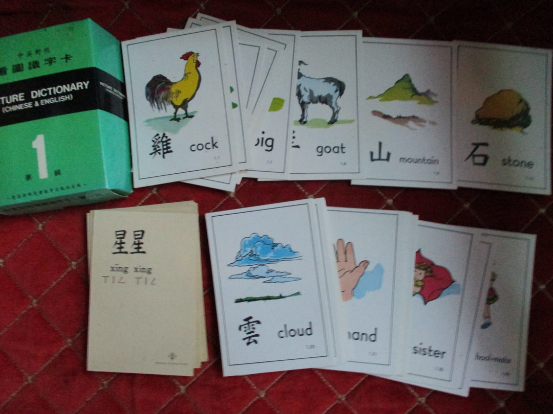 Picture Dictionary Chinese & English Vintage 1960s-1970s Complete 40/40 ...