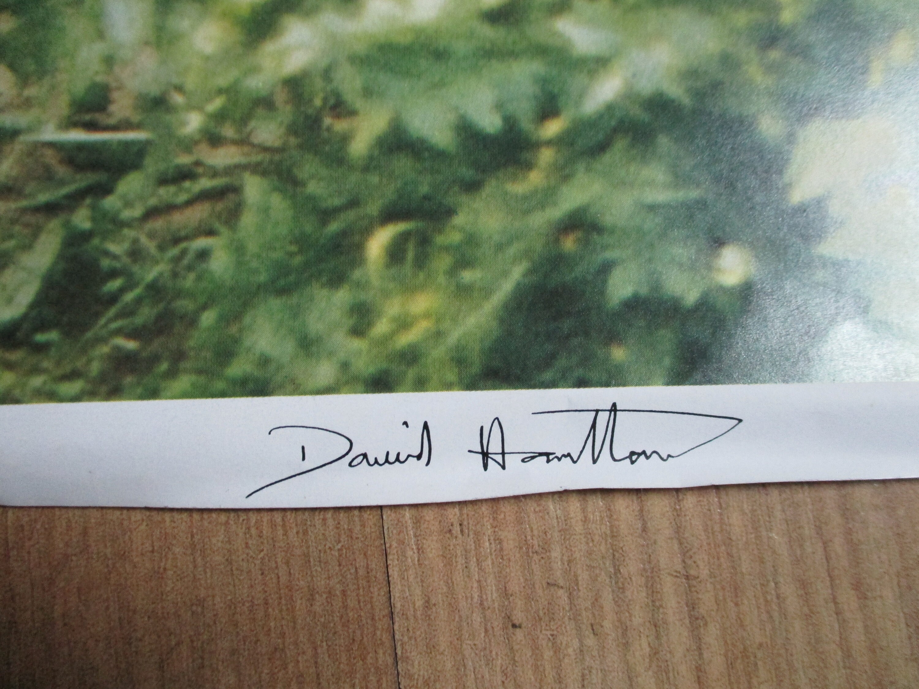 David Hamilton Offset Fine Art Glamour Photography Vintage 1980s Ready ...