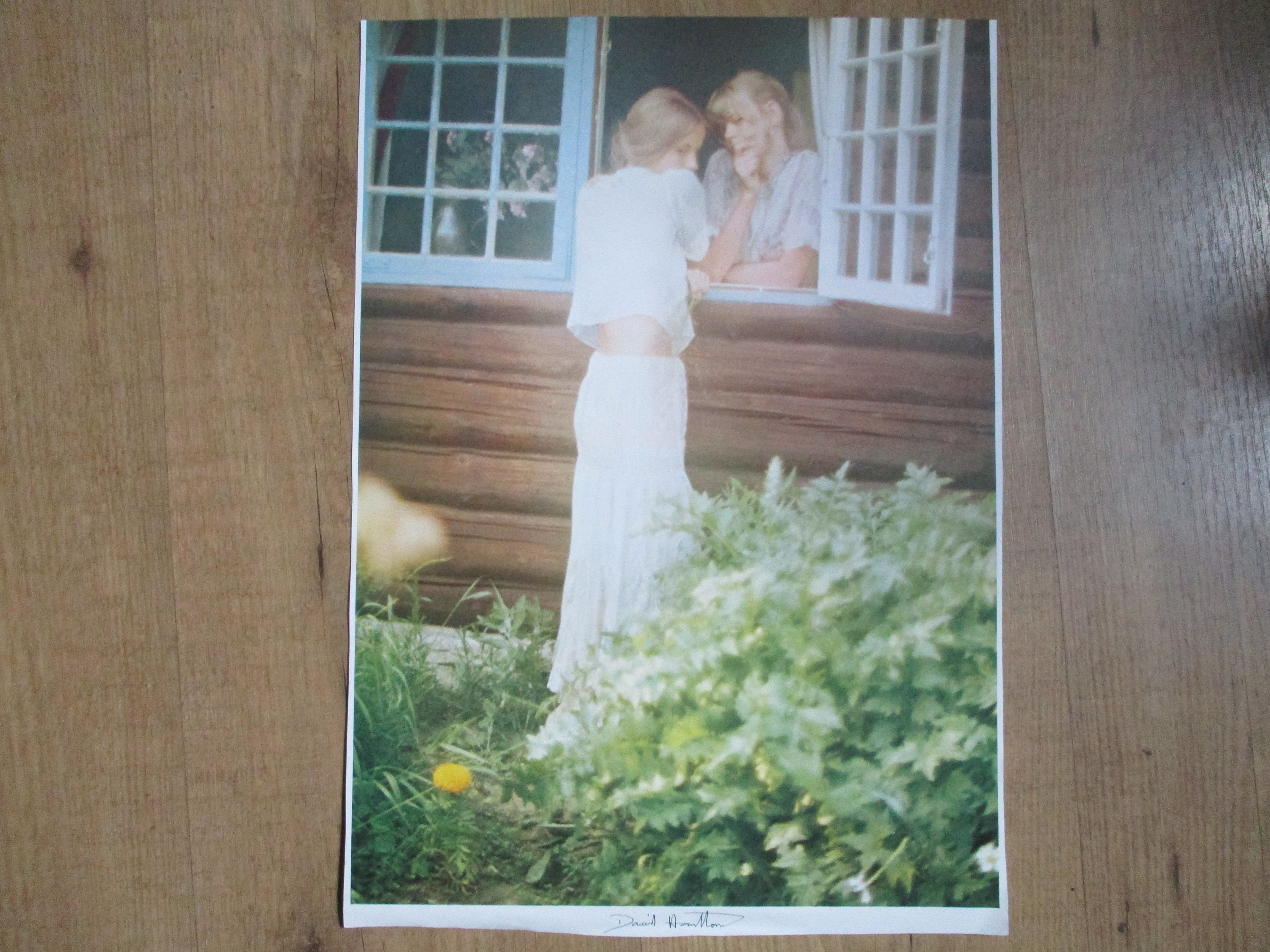 David Hamilton Offset Fine Art Glamour Photography Vintage 1980s Ready ...