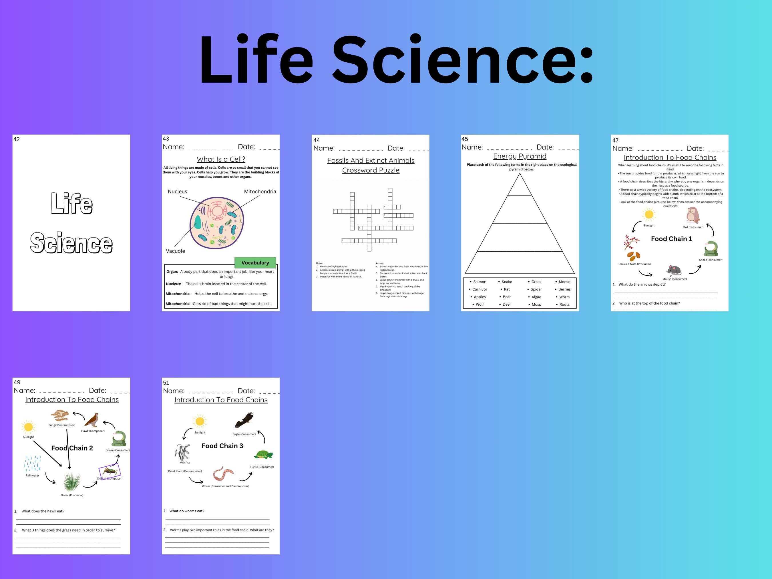 Fourth Grade Science Bundle | Answer Keys | Science Worksheets ...