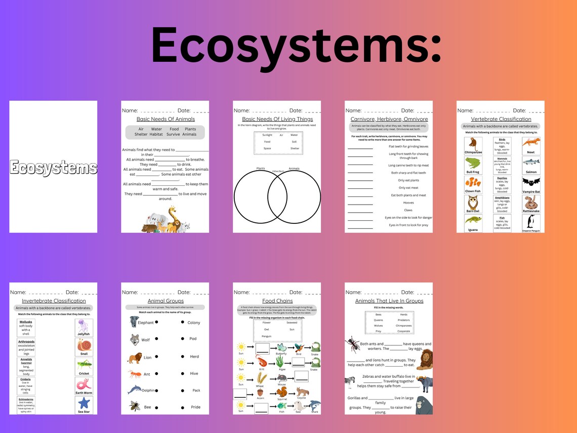 Third Grade Science Bundle | Answer Keys | Science Worksheets ...