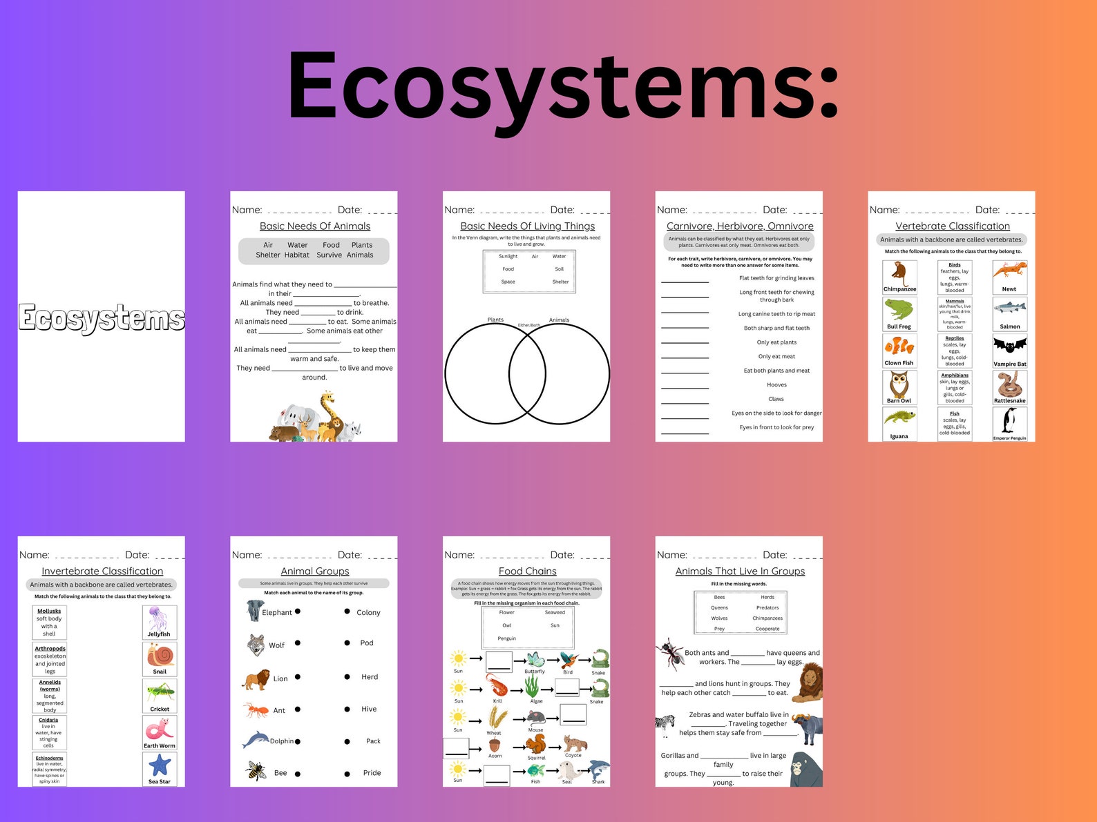 Third Grade Science Bundle | Answer Keys | Science Worksheets ...
